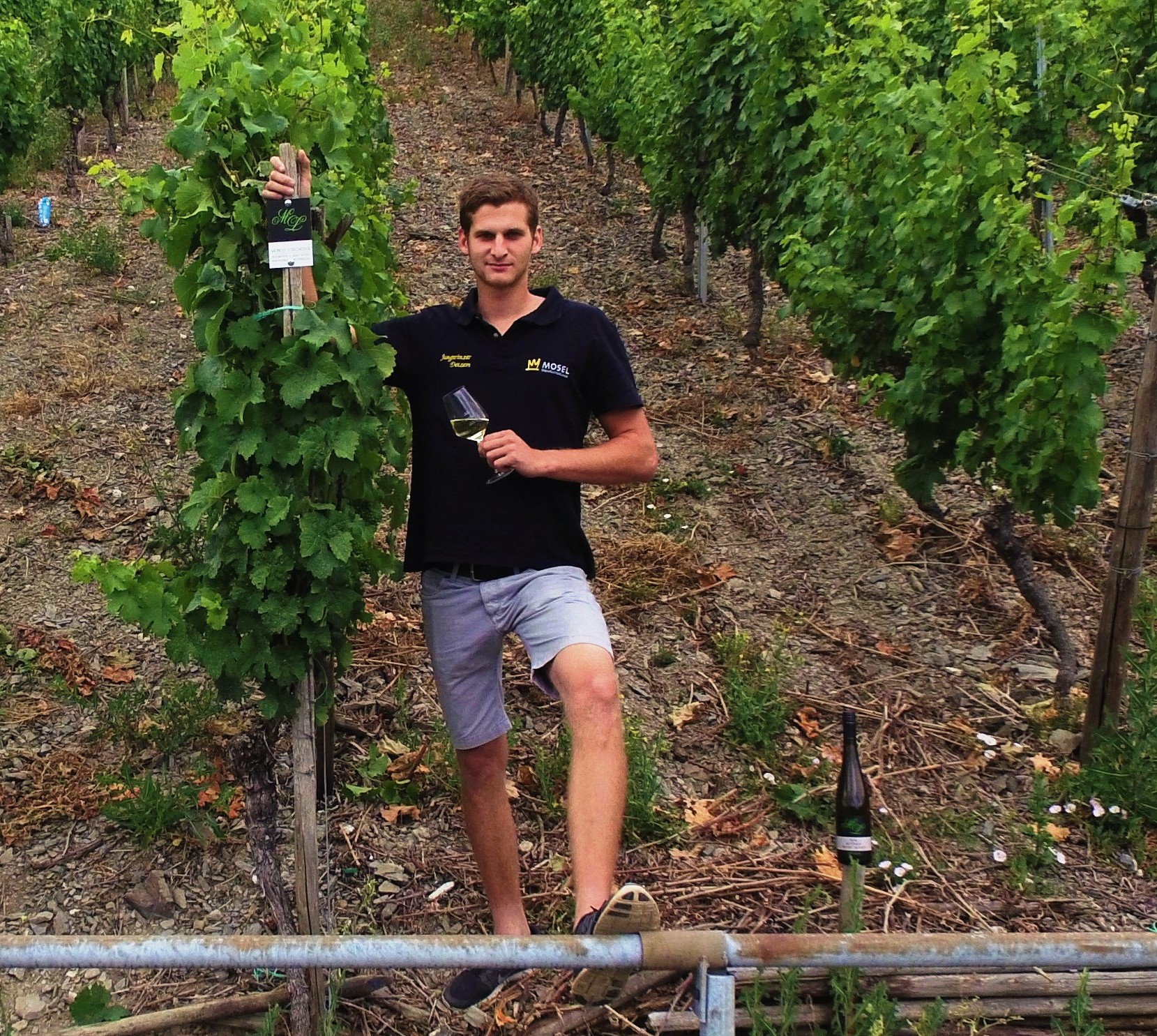 Der Winzer - Weingut Michael Lorscheider